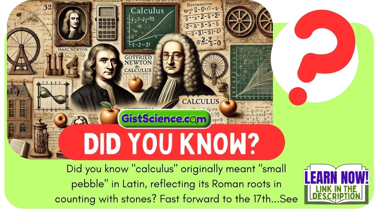 What is the origin of the world calculus?